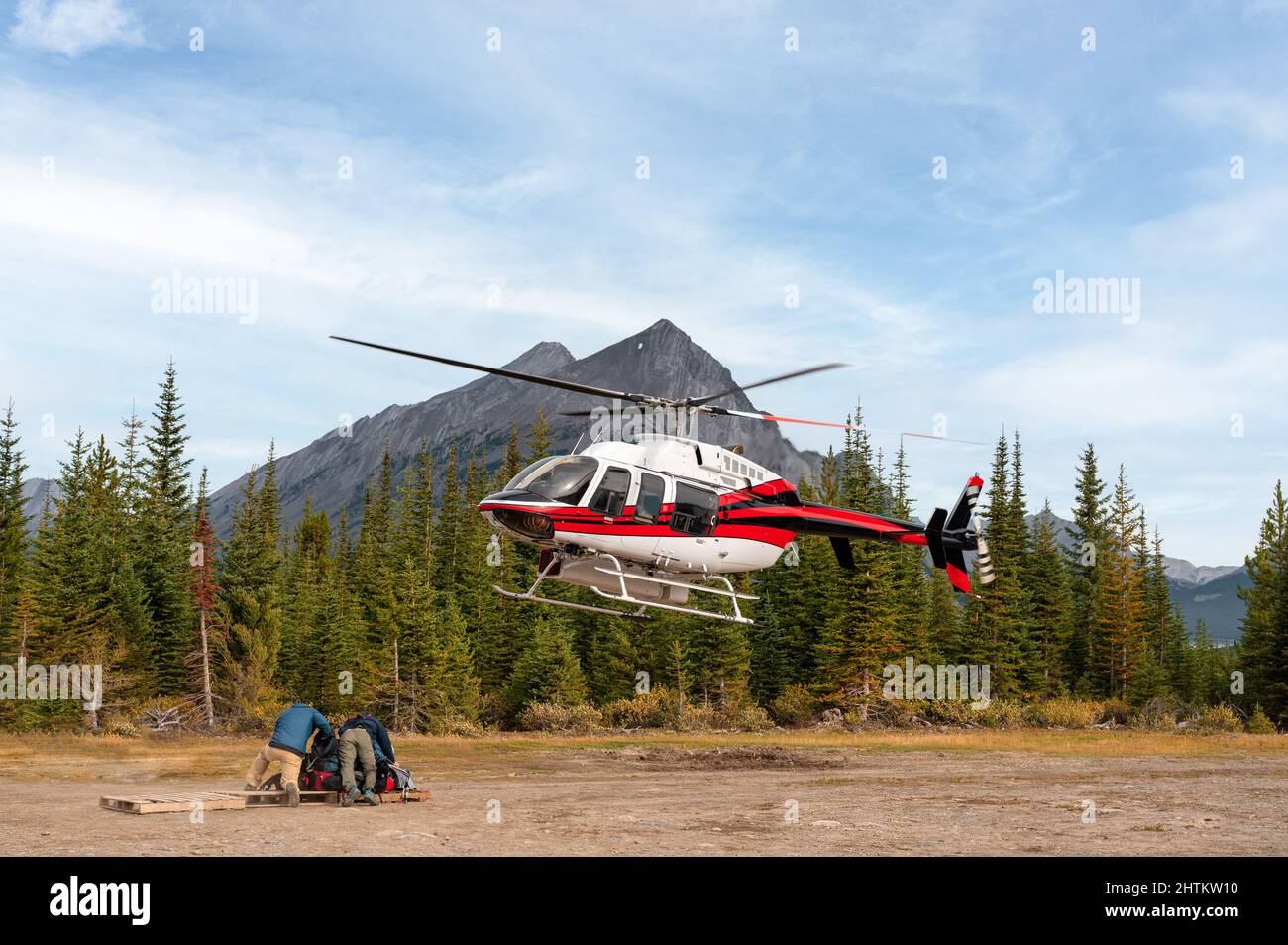 Alpine helicopter flying and landing to the ground and staff in Banff ...