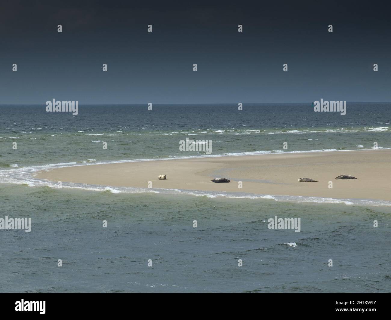 borkum island in the north sea Stock Photo - Alamy