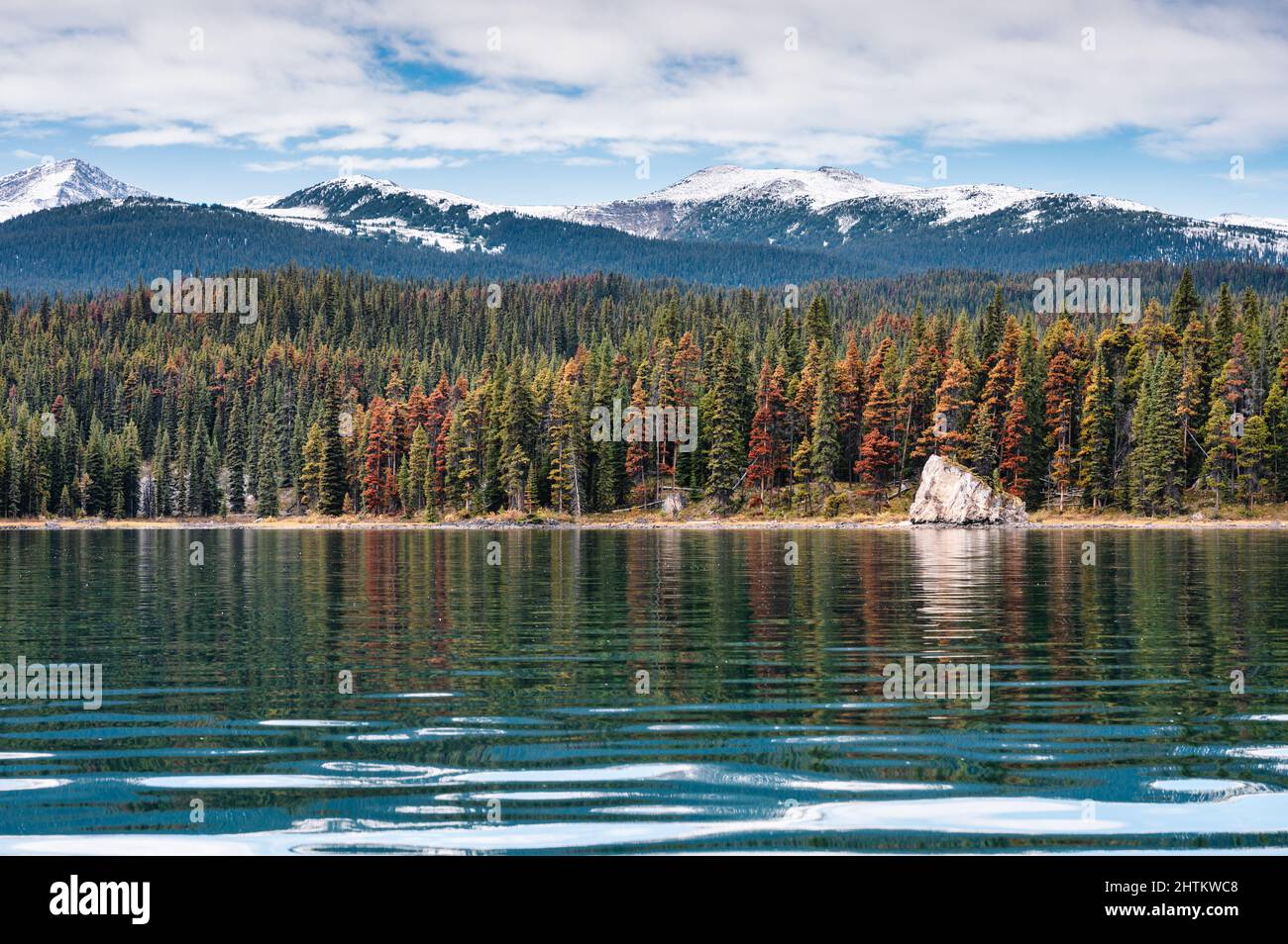 Landscape of mountain and with autumn pine forest on maligne lake at ...