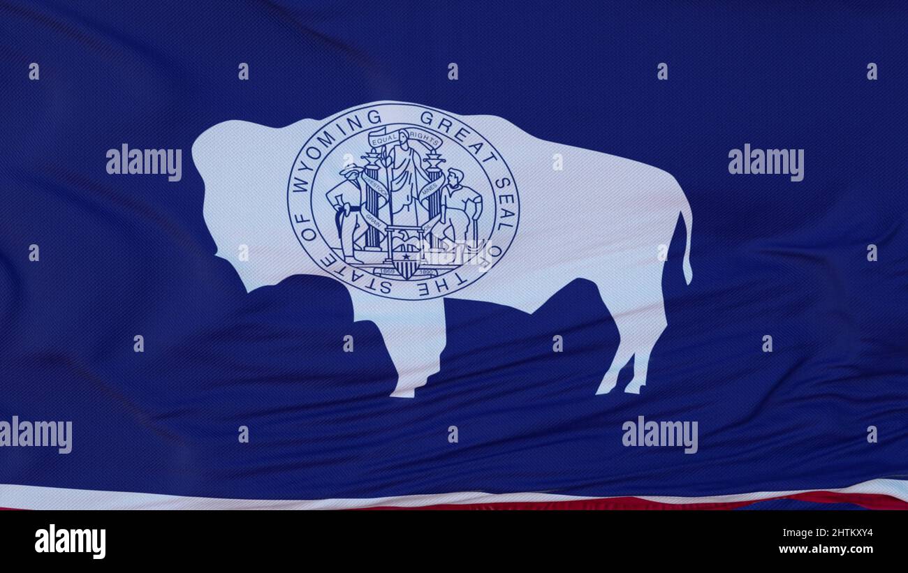 Flag of Wyoming state, region of the United States, waving at wind. 3d ...