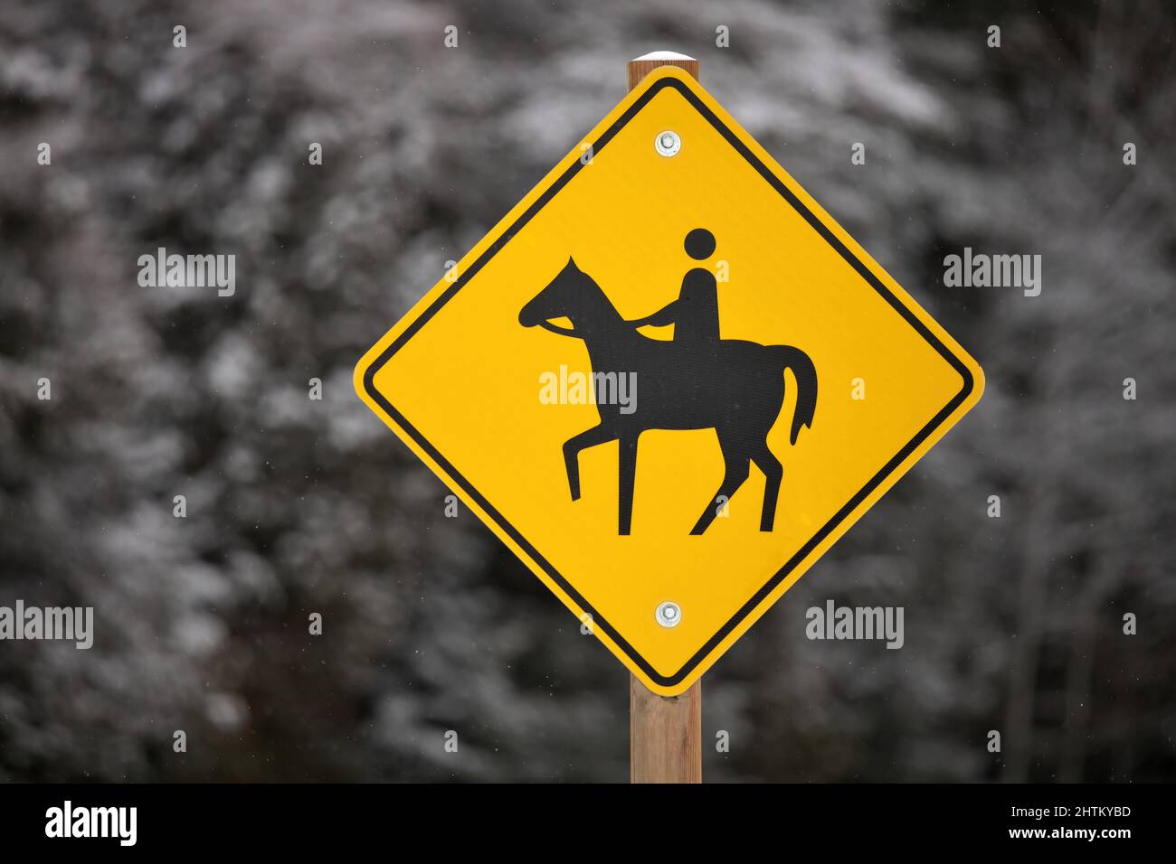 Yellow diamond shape yield sign hi-res stock photography and images - Alamy