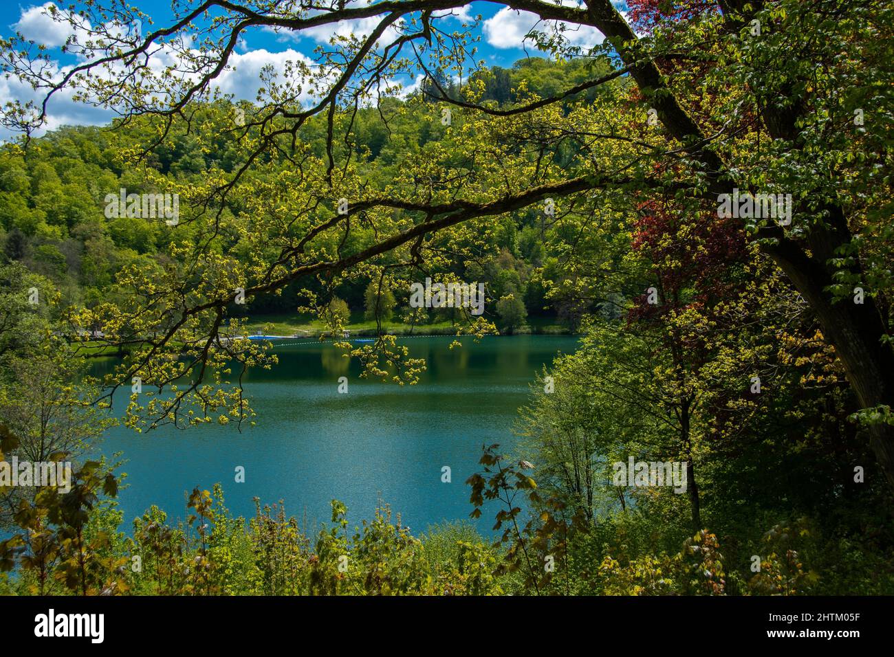 The view of the "Gemündener Maar" near Daun in beautiful spring weather ...