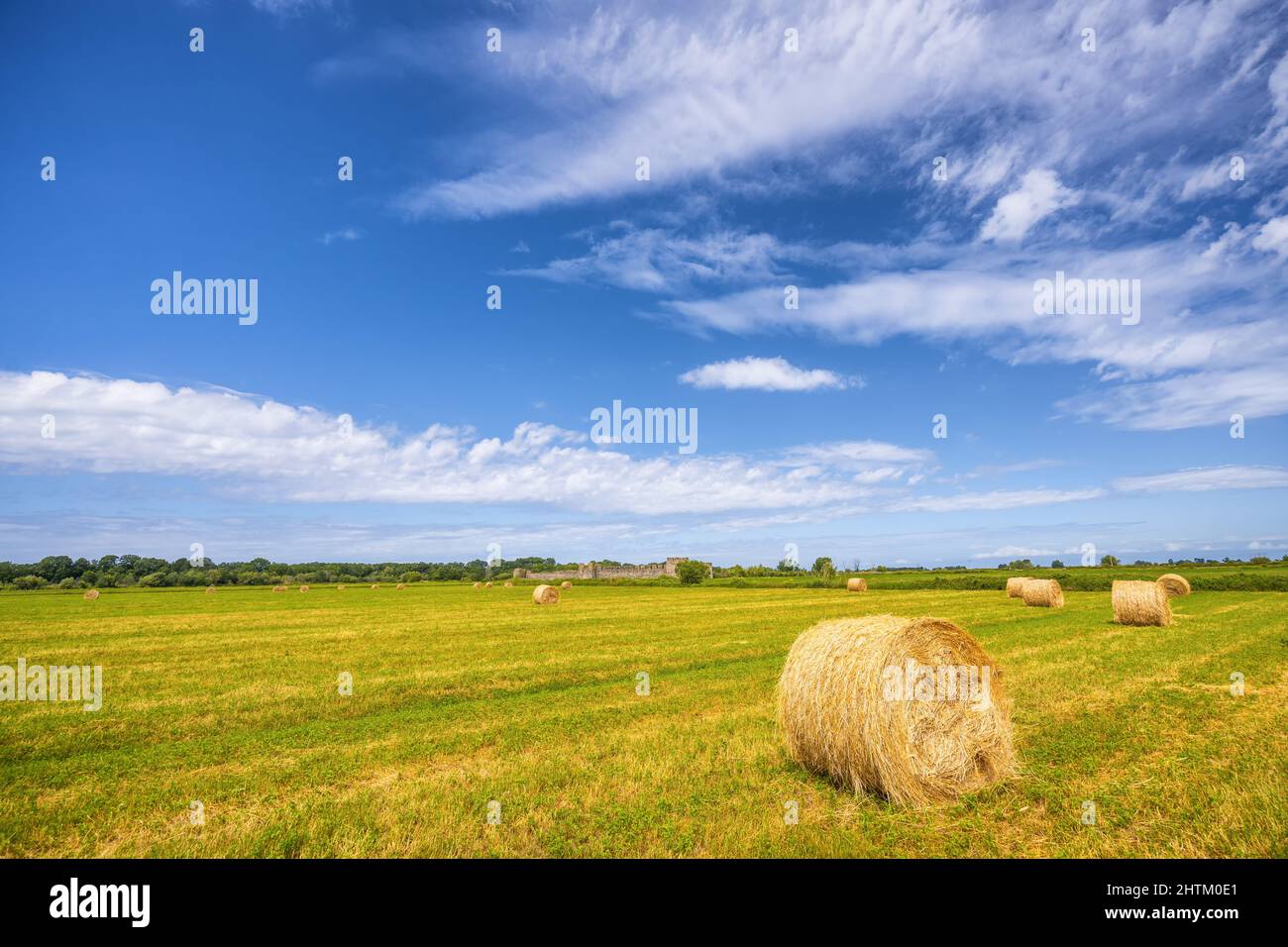 Agricultural field with harvested hay and stacks in summer. Haystacks ...