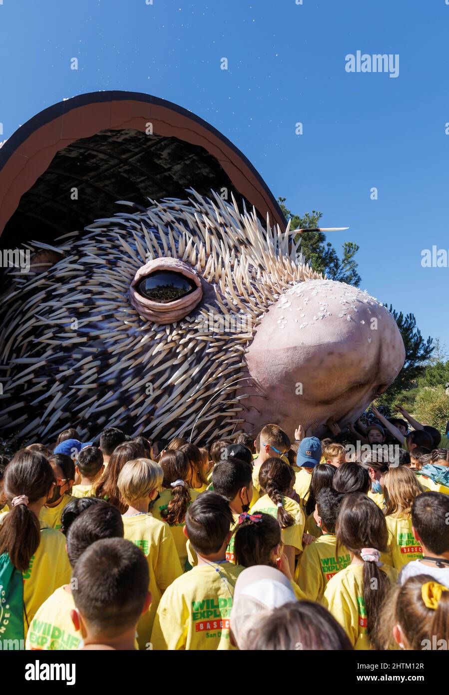 New world porcupine hi-res stock photography and images - Alamy