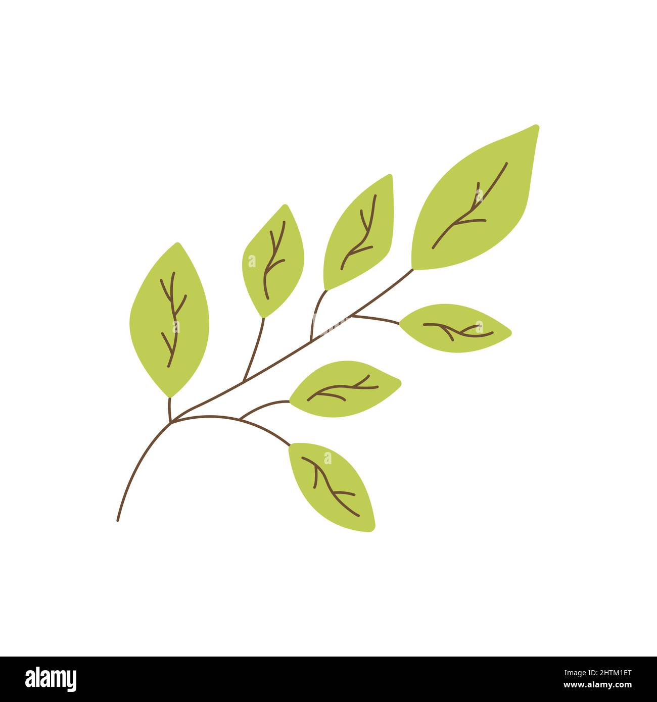 Green twig with leaves. Spring or summer element. Ecology concept ...