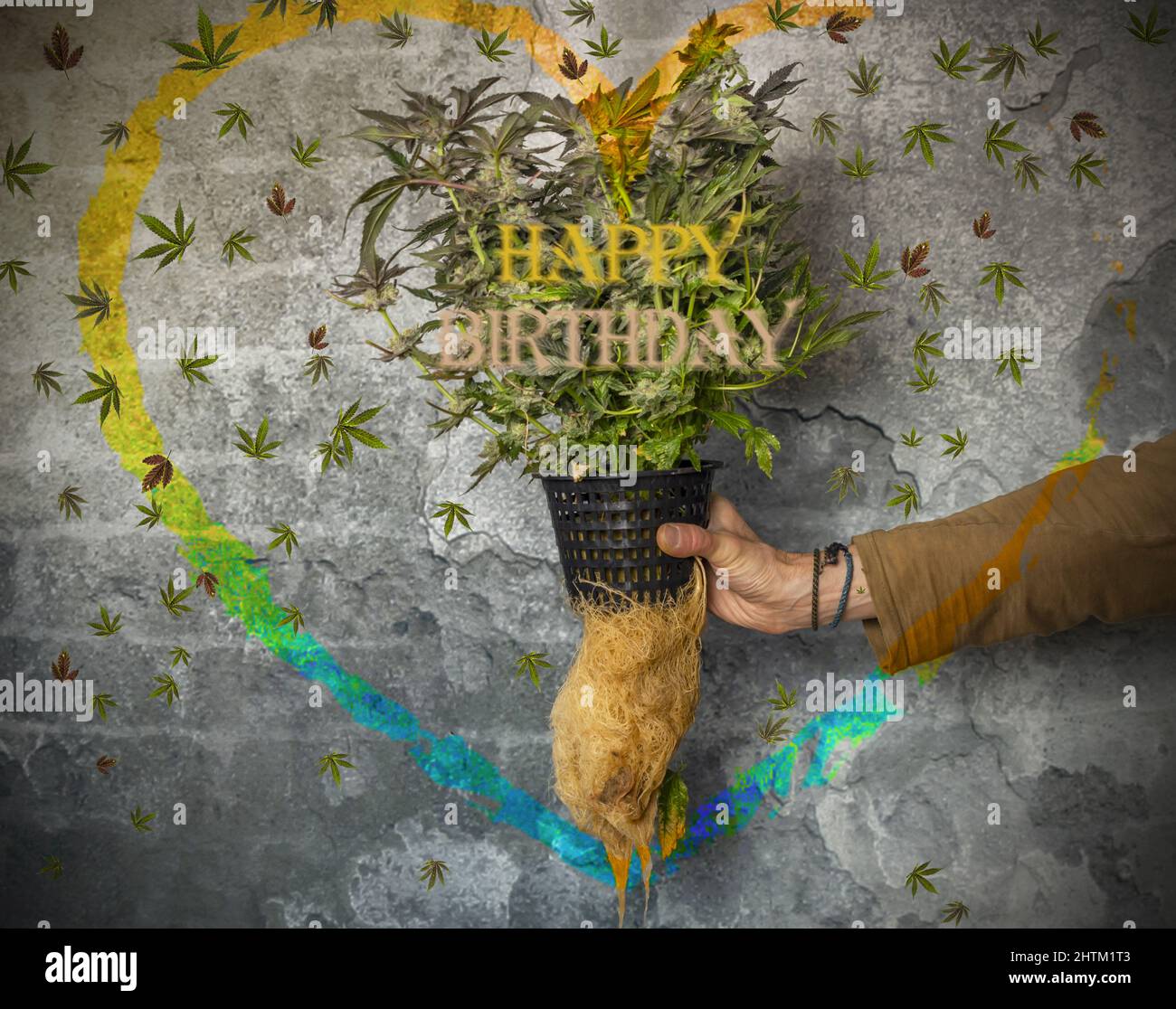Happy birthday with hand pot of marijuana with color heart and wall ...