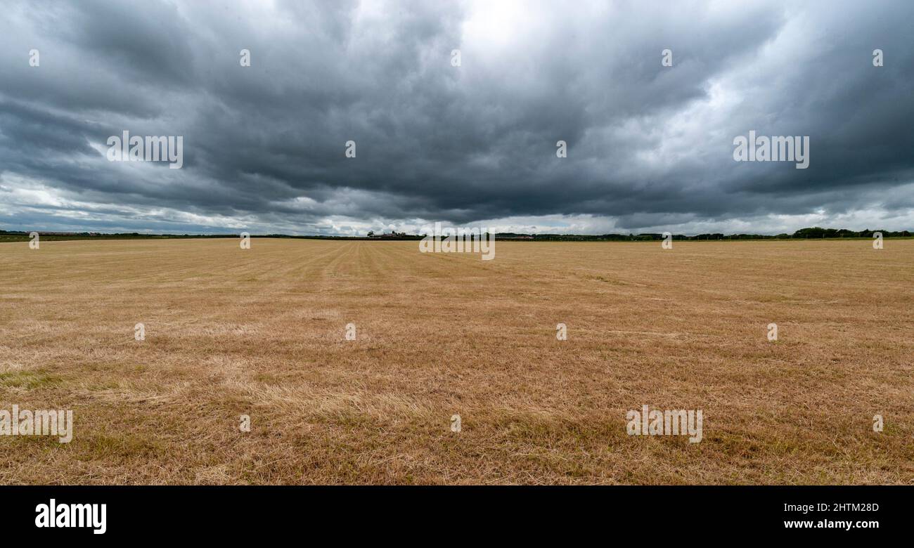 Grey clouds over corn hi-res stock photography and images - Alamy