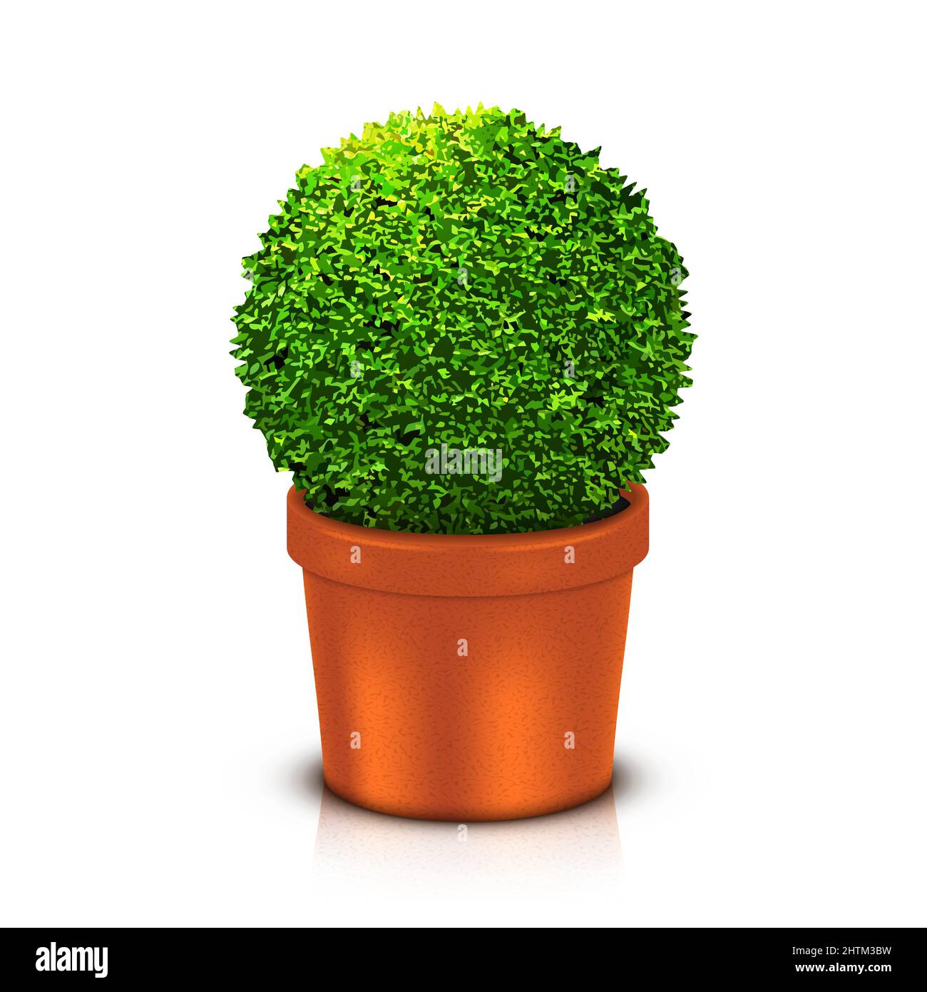 Flower pot vector illustration on white background Stock Vector Image ...
