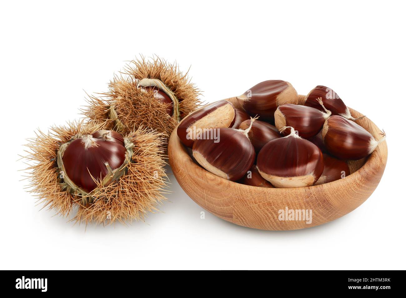 American chestnut isolated hi-res stock photography and images - Alamy