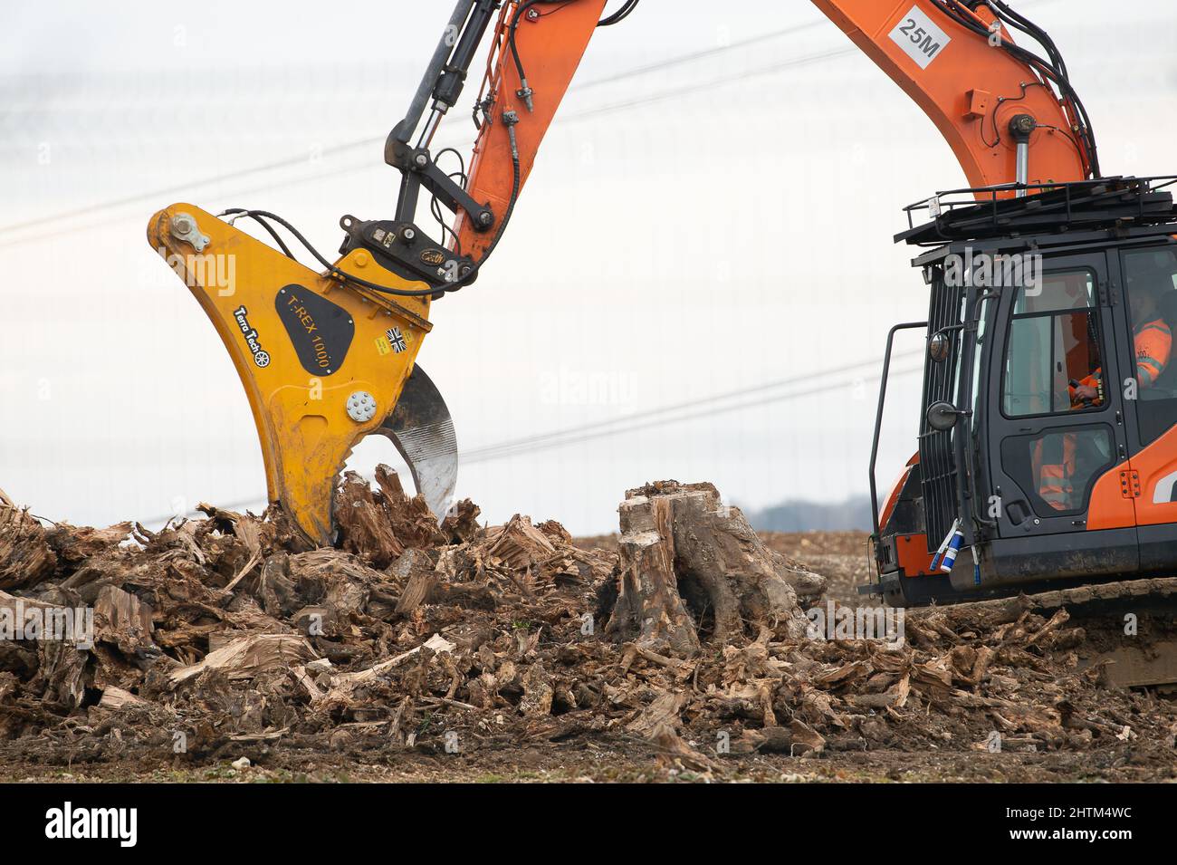 Hs2 deforestation hi-res stock photography and images - Alamy
