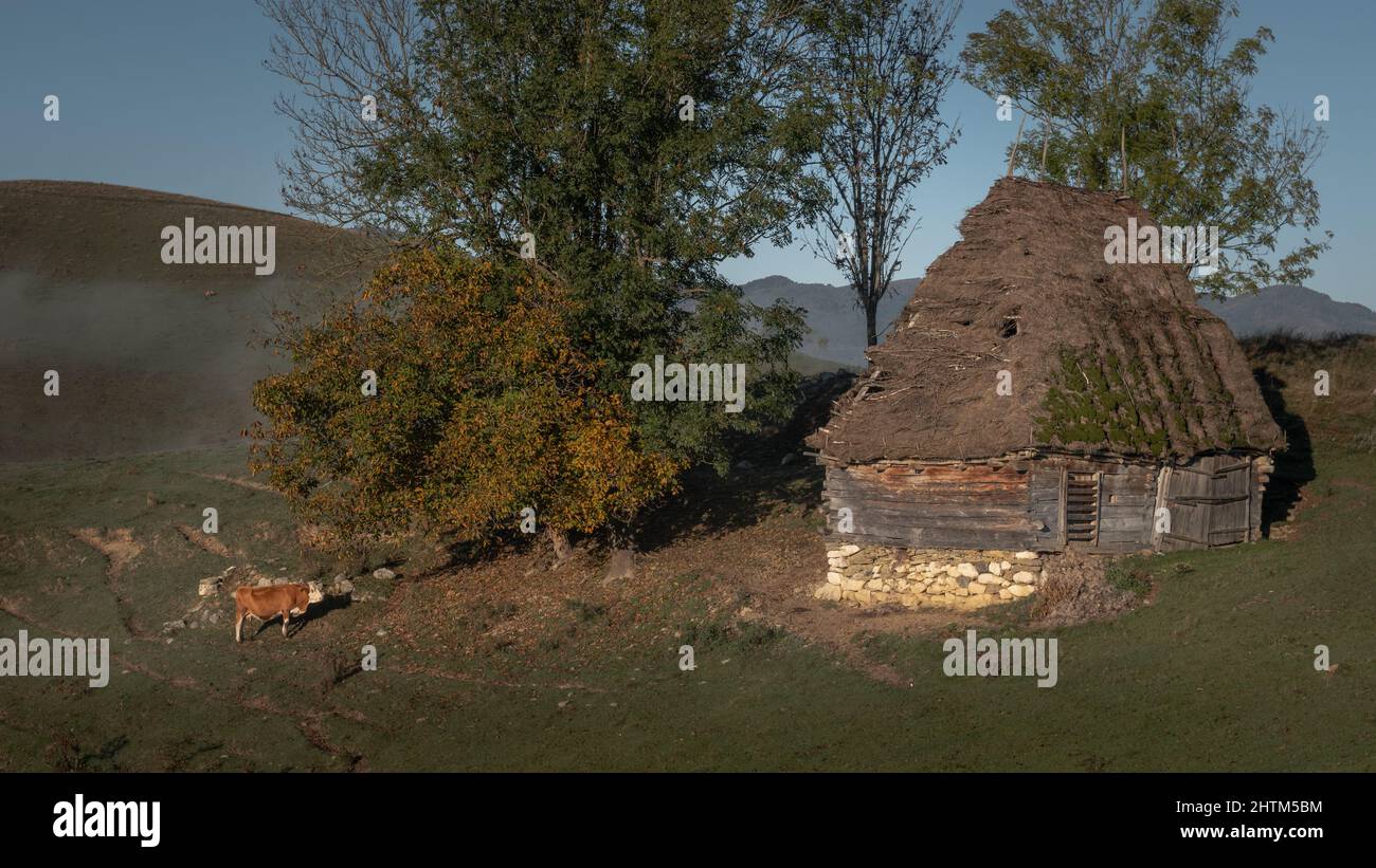 Small village house in a field Stock Photo - Alamy