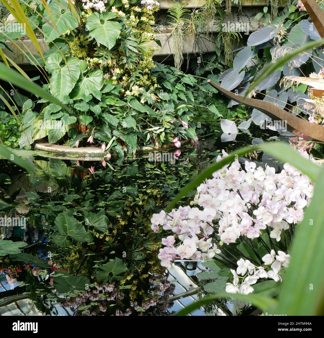 Royal bontanic gardens hi-res stock photography and images - Alamy