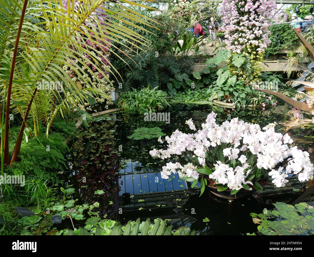 Kew Gardens, Surrey Stock Photo - Alamy