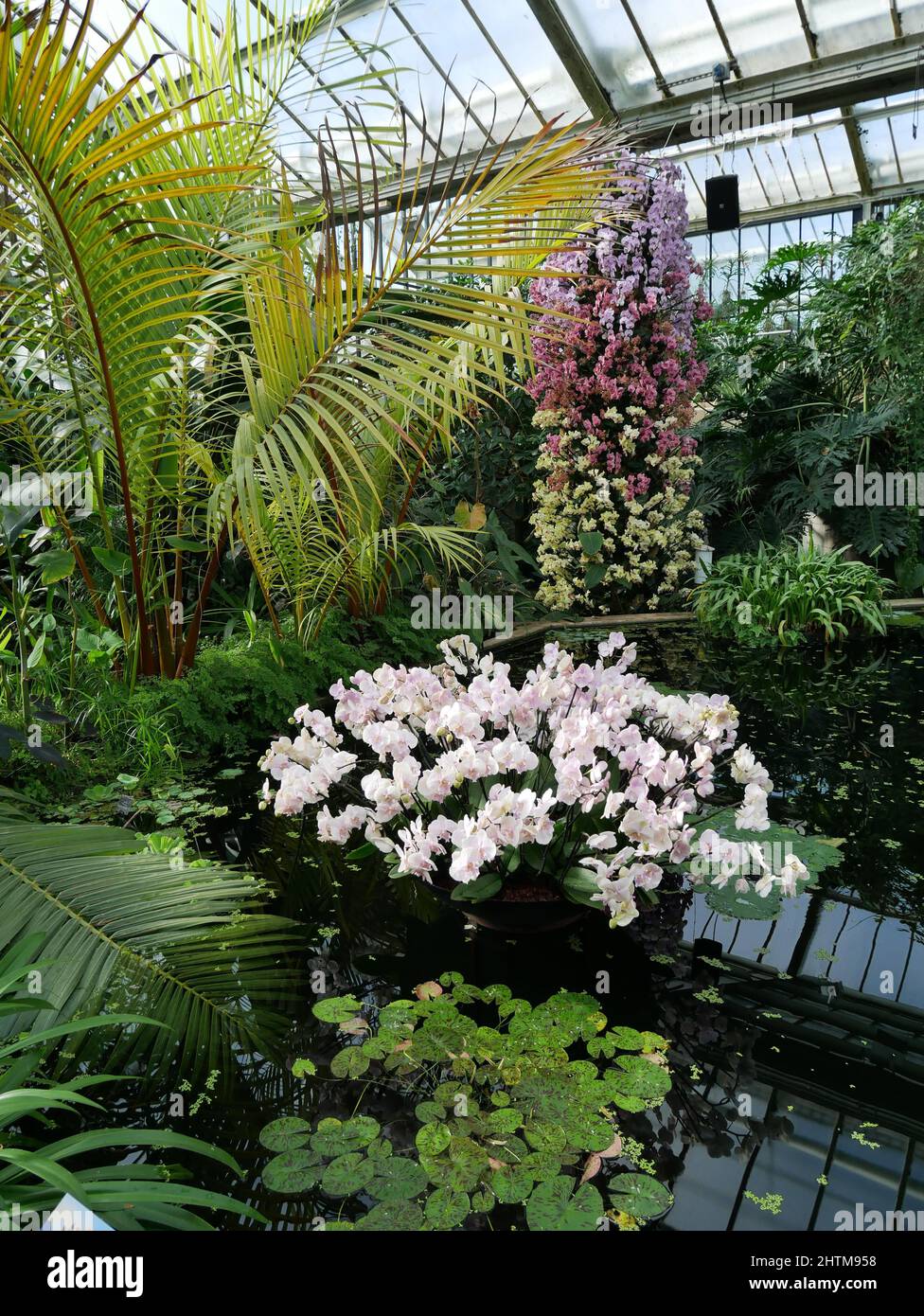 Kew Gardens, Surrey Stock Photo - Alamy