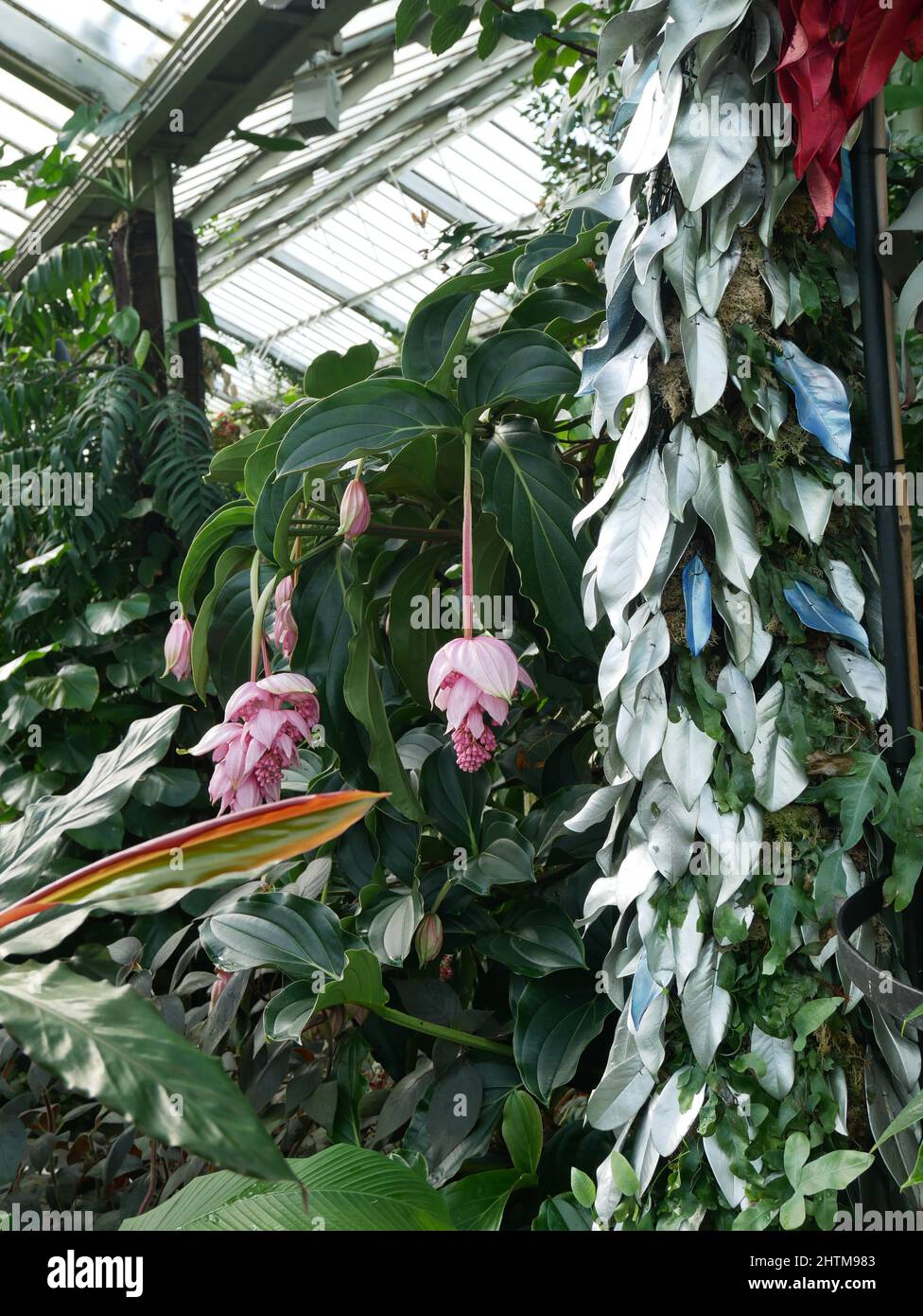 Royal bontanic gardens hi-res stock photography and images - Alamy
