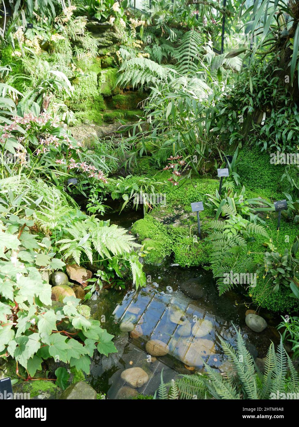 Royal bontanic gardens hi-res stock photography and images - Alamy