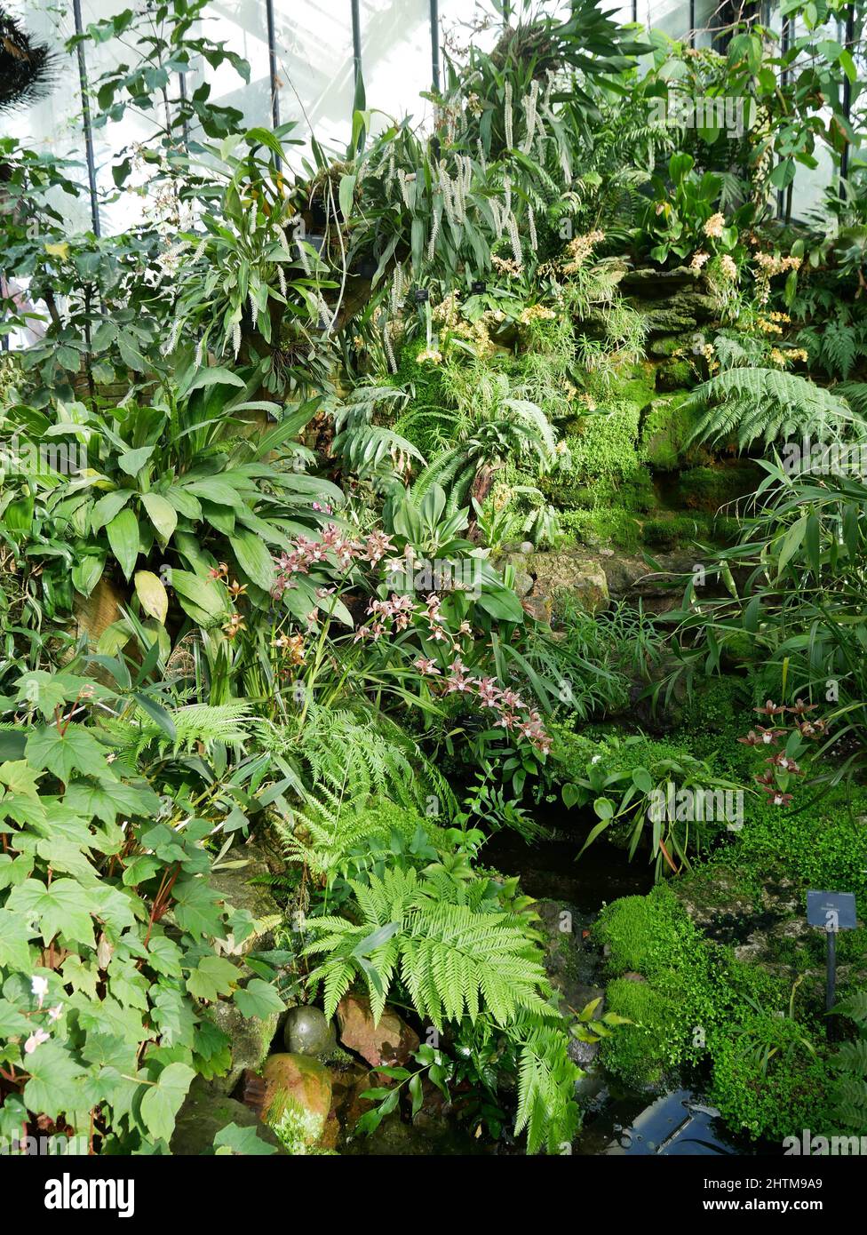 Royal bontanic gardens hi-res stock photography and images - Alamy