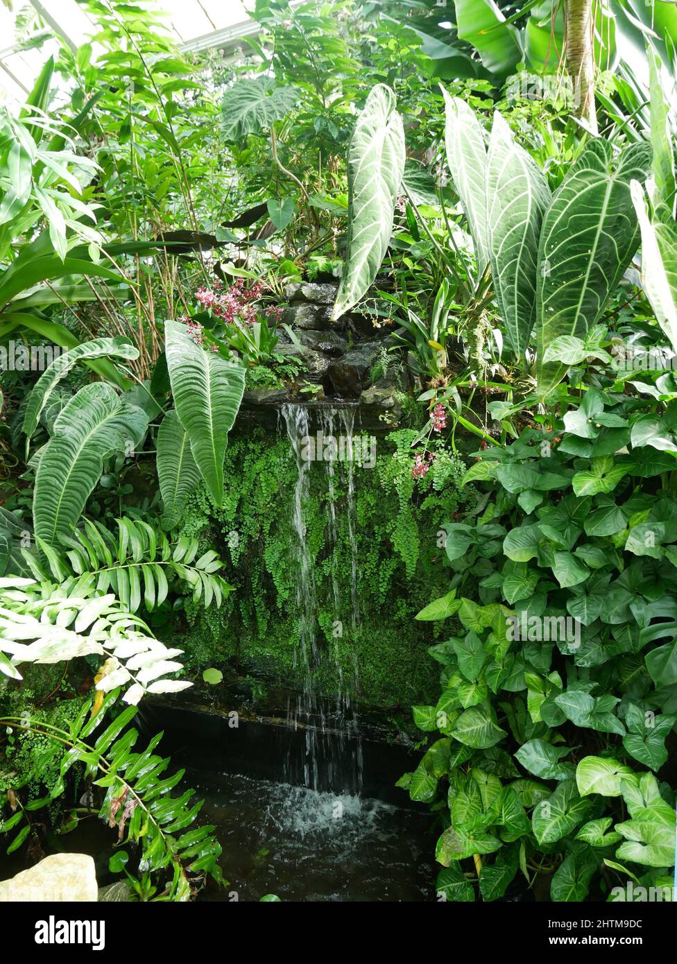 Royal bontanic gardens hi-res stock photography and images - Alamy