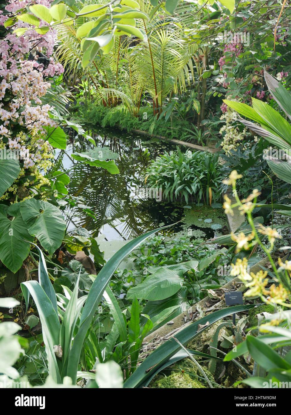 Royal bontanic gardens hi-res stock photography and images - Alamy