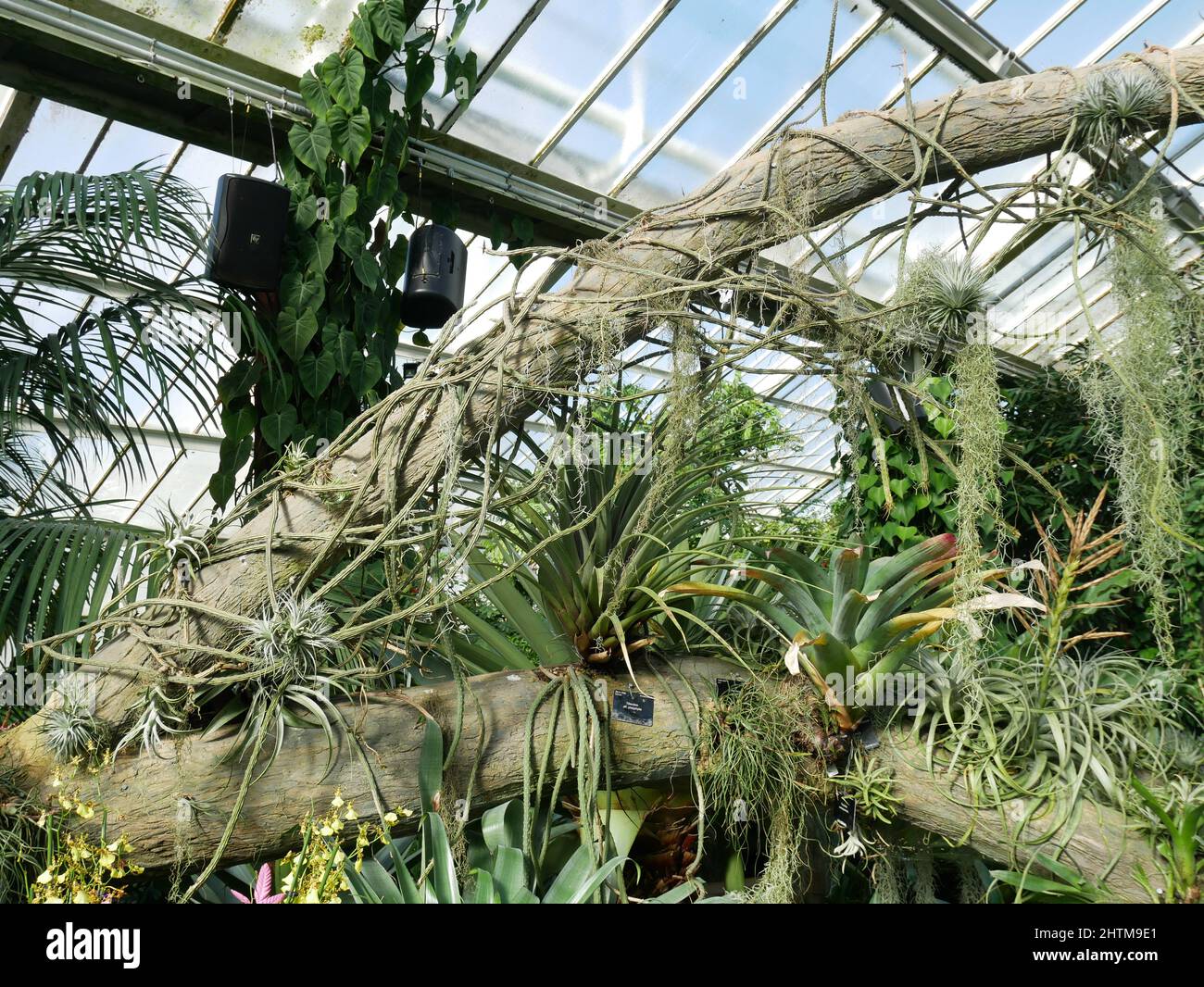 Royal bontanic gardens hi-res stock photography and images - Alamy