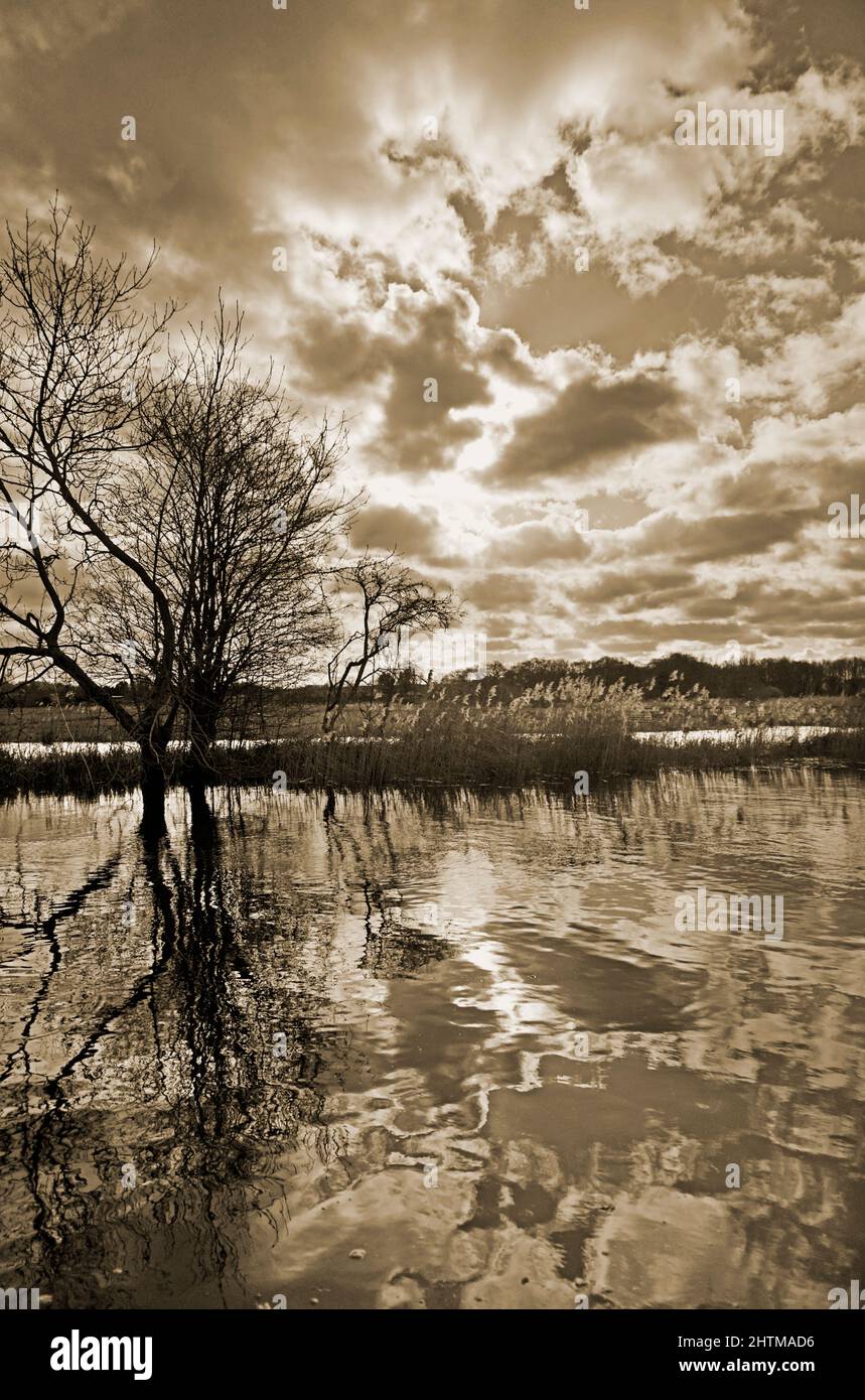 river waveney in winter geldeston norfolk england Stock Photo - Alamy