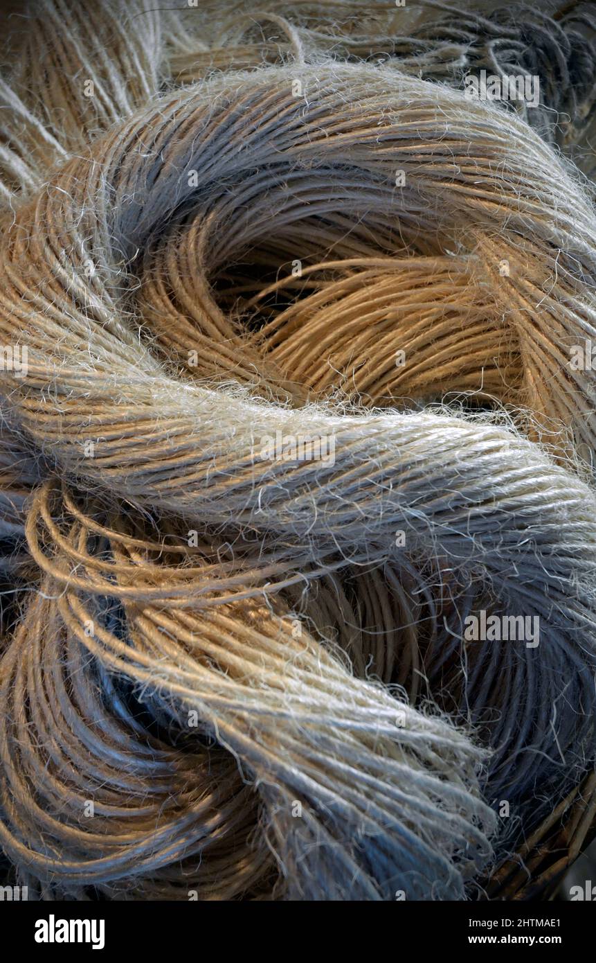 Hairy string hi-res stock photography and images - Alamy