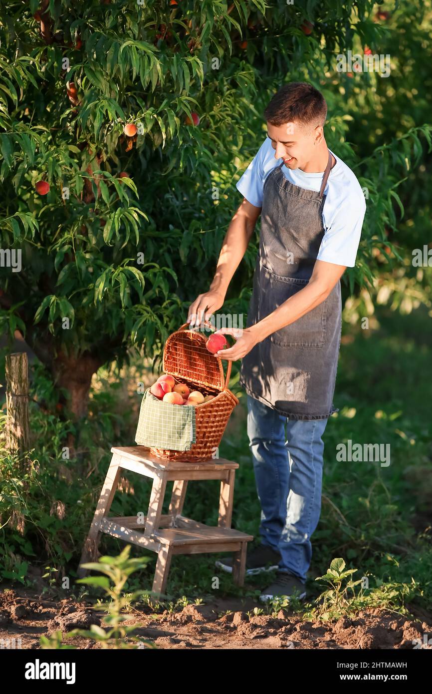 Young man sweet peach hi-res stock photography and images - Alamy