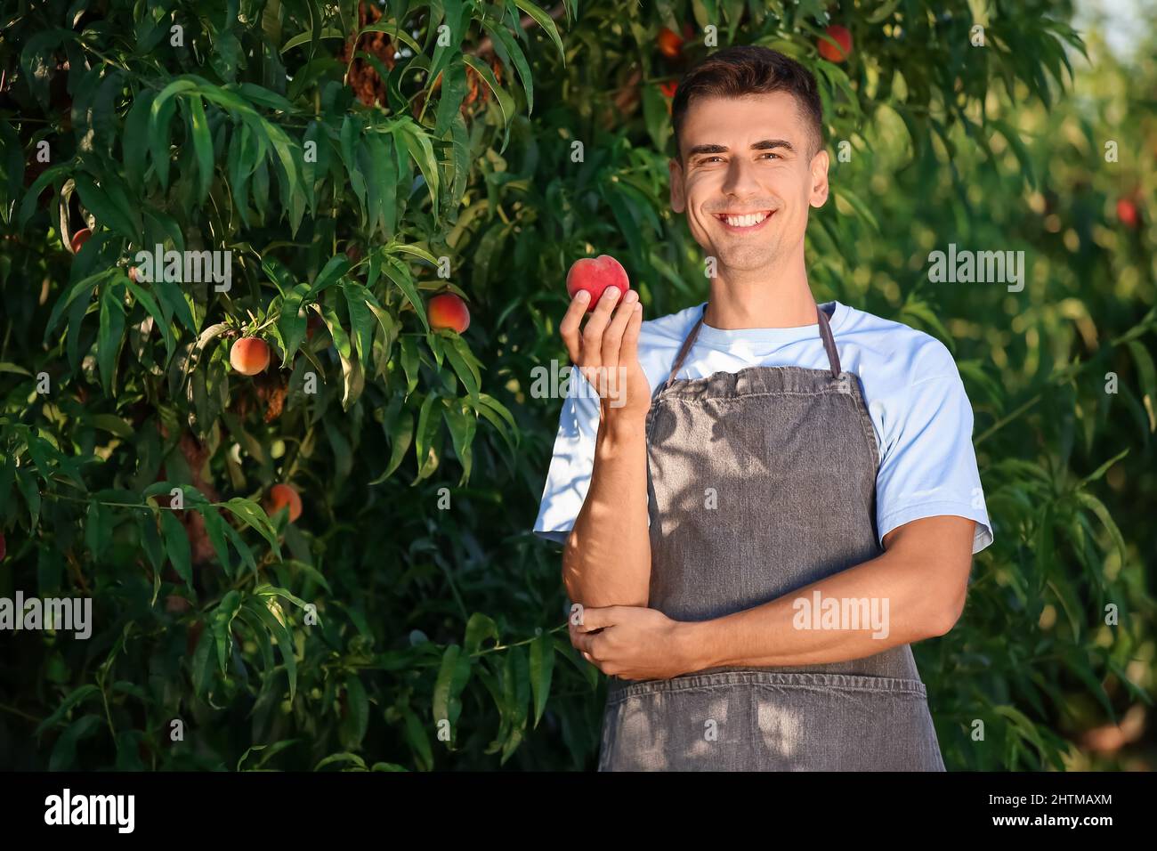 Young man sweet peach hi-res stock photography and images - Alamy