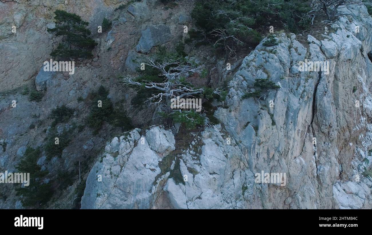 Steep cliff with ledges. Shot. Top view of rocky steep wall with sparse ...