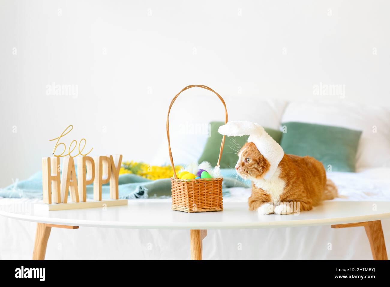 Cute cat with bunny ears, basket and Easter eggs lying on table in ...