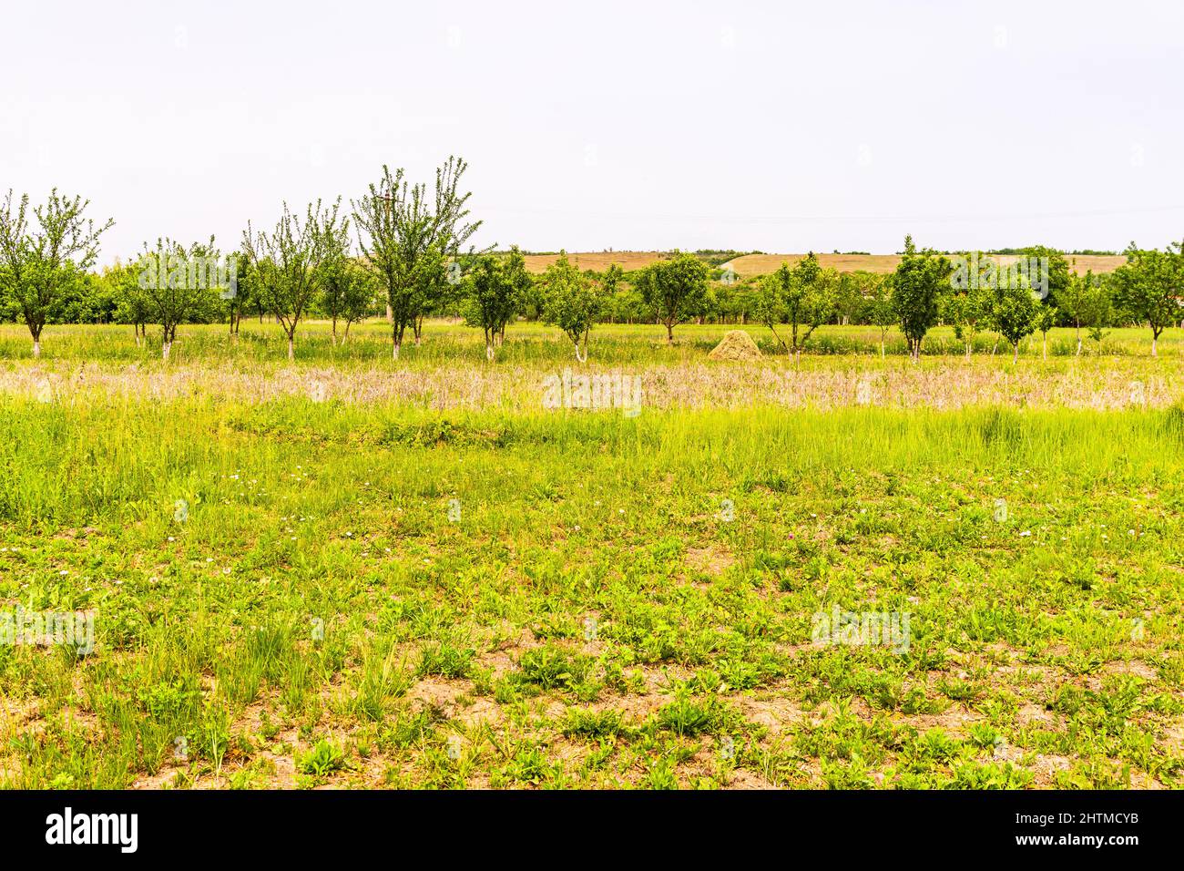 Countryside farming land. Land prepared for farming. Agriculture ...