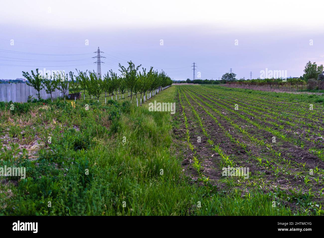 Countryside farming land. Land prepared for farming. Agriculture ...