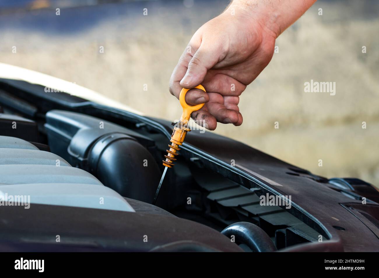 Car mechanic checking the engine oil level Stock Photo - Alamy