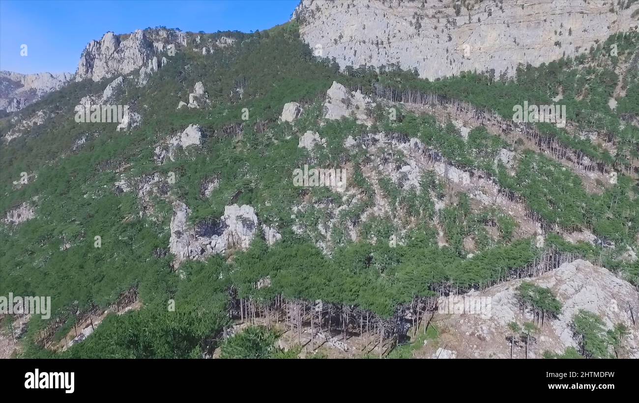 Beautiful mountains landscape through the branches. Shot. Top view ...