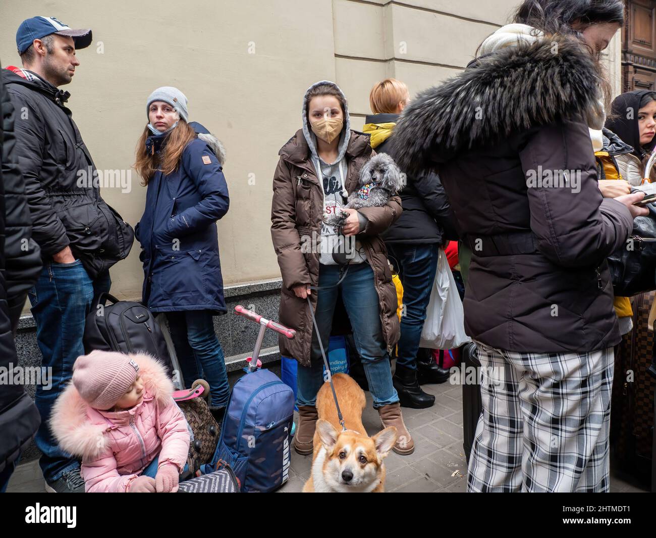 Refugee pet hi-res stock photography and images - Alamy