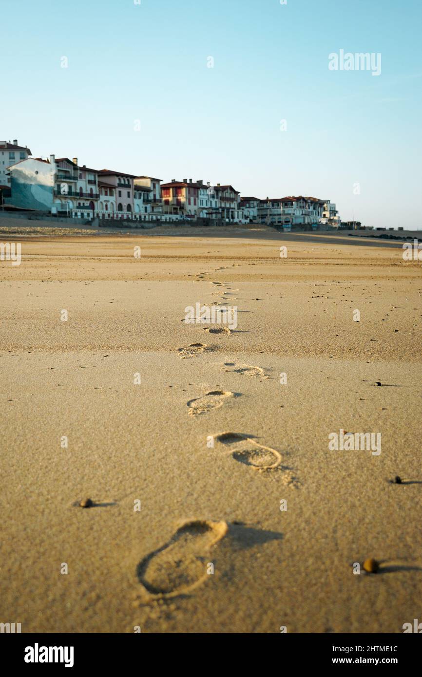 Vertical shot of footsteps on the wet sand at the beach Stock Photo - Alamy