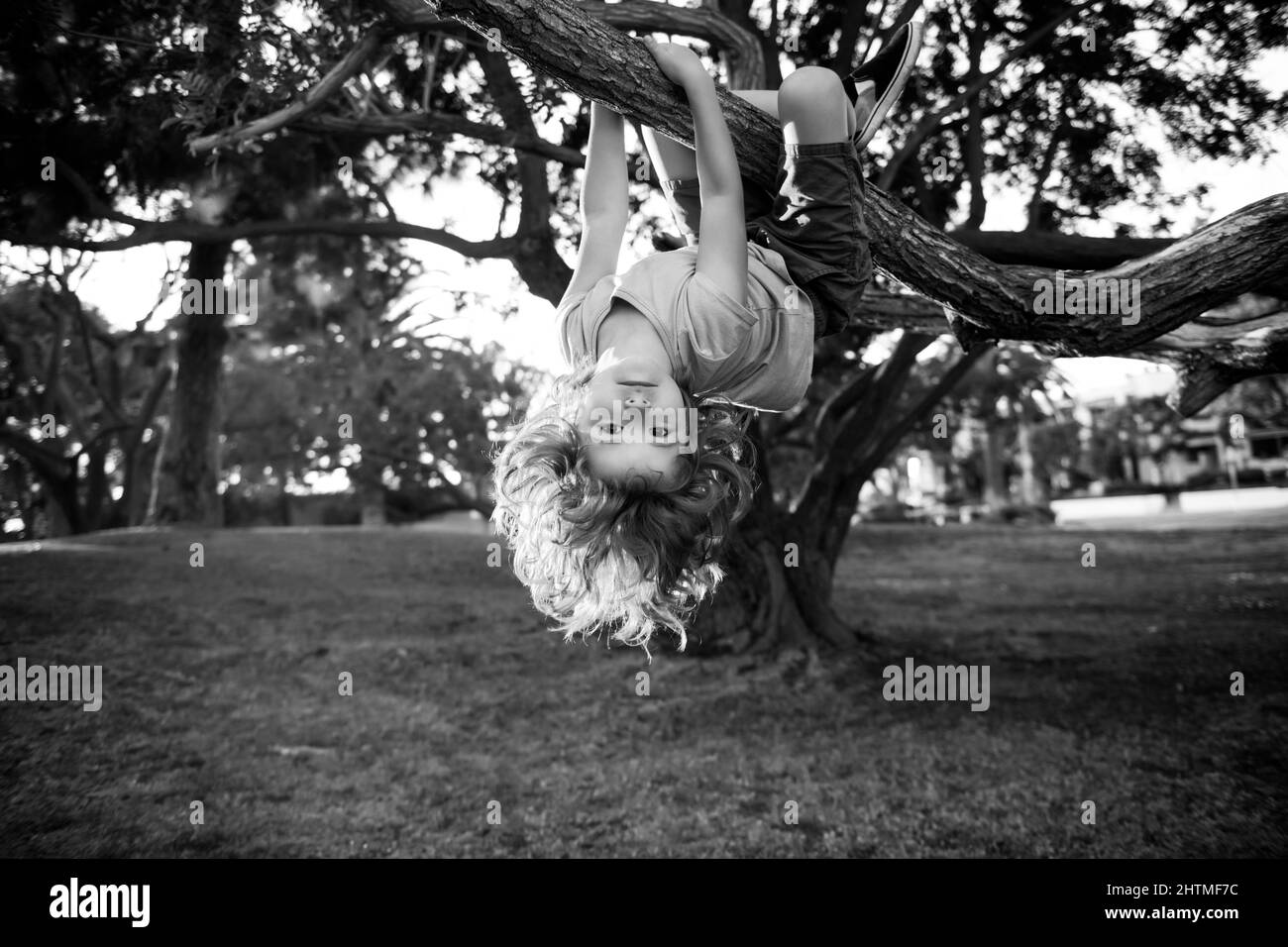 Child on a tree. Insurance kids. Health care insurance concept for kids ...