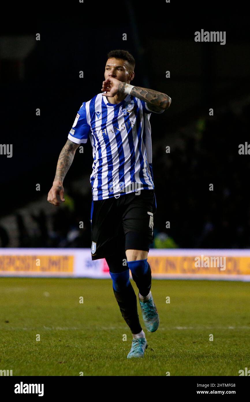 Marvin Johnson #18 of Sheffield Wednesday Celebrates scoring a goal to ...