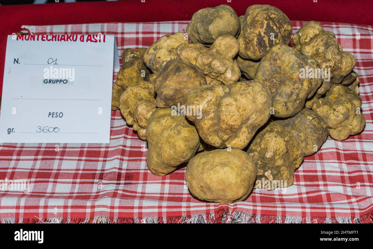 Montechiaro d'Asti, Italy - November 8, 2009: National white truffle ...