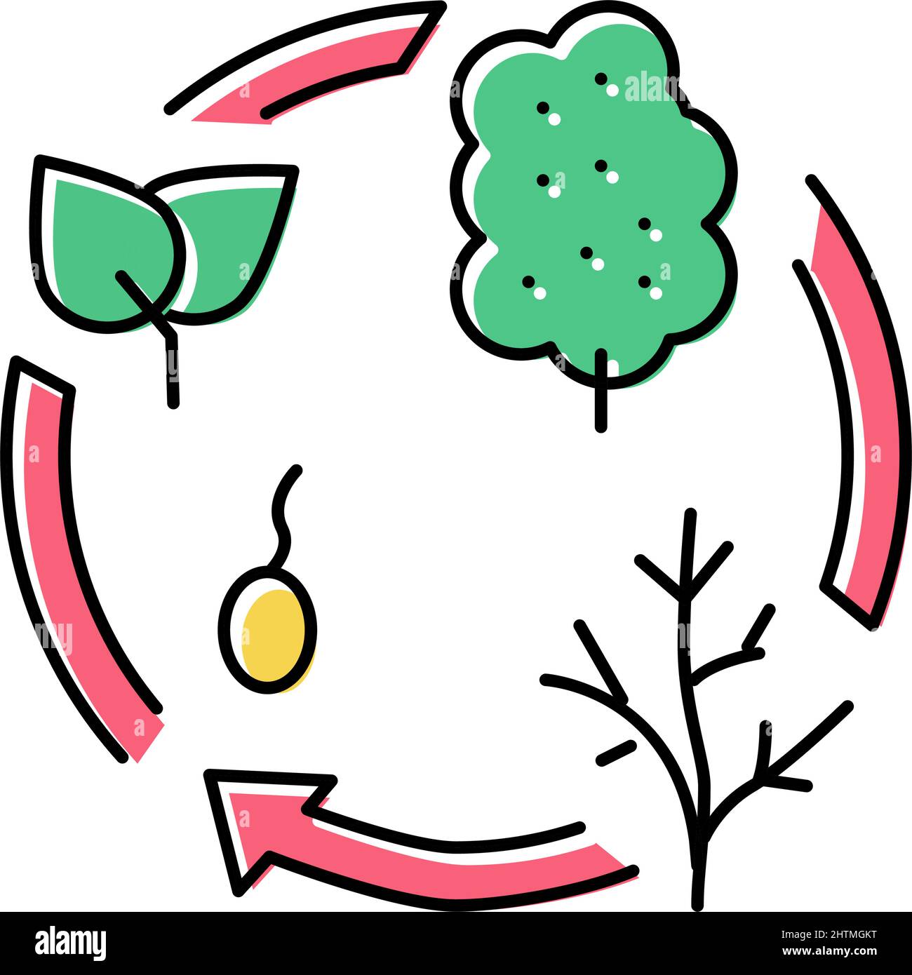 life cycle color icon vector illustration Stock Vector Image & Art - Alamy