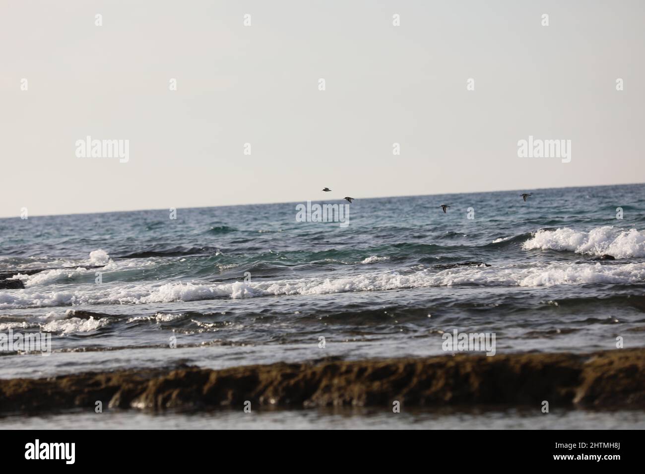 low waves on the shore of a beach High quality Stock Photo - Alamy