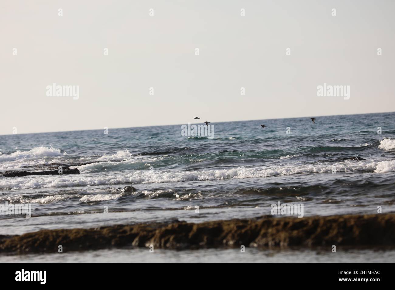 low waves on the shore of a beach High quality Stock Photo - Alamy