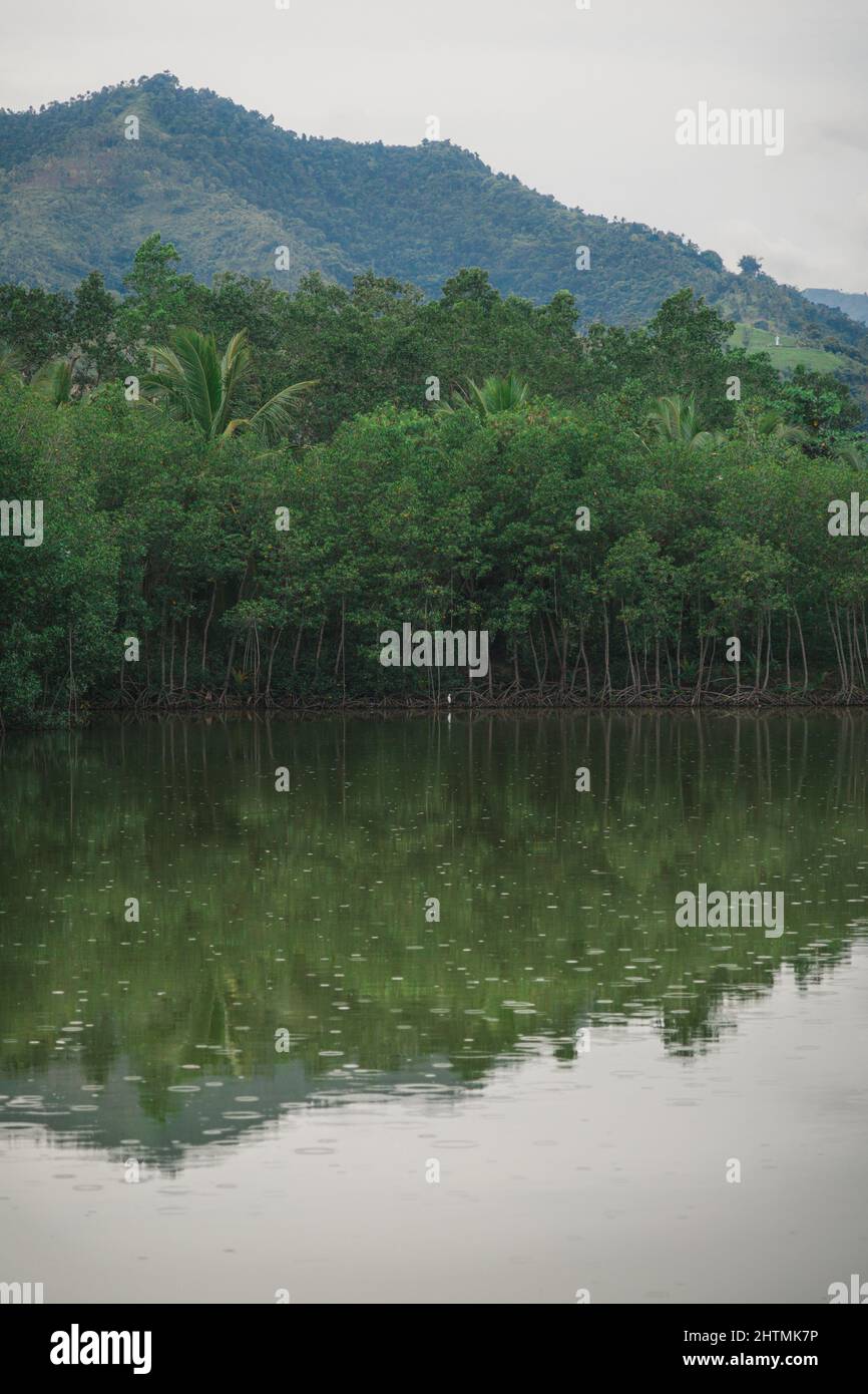 Tree reflections on lake near Malita, Davao Occidental, Philippines ...