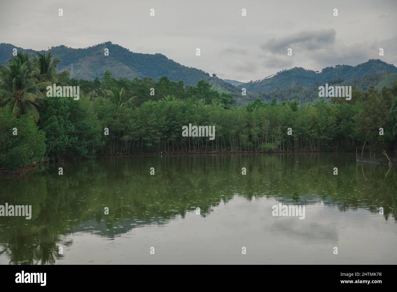 Tree reflections on lake near Malita, Davao Occidental, Philippines ...