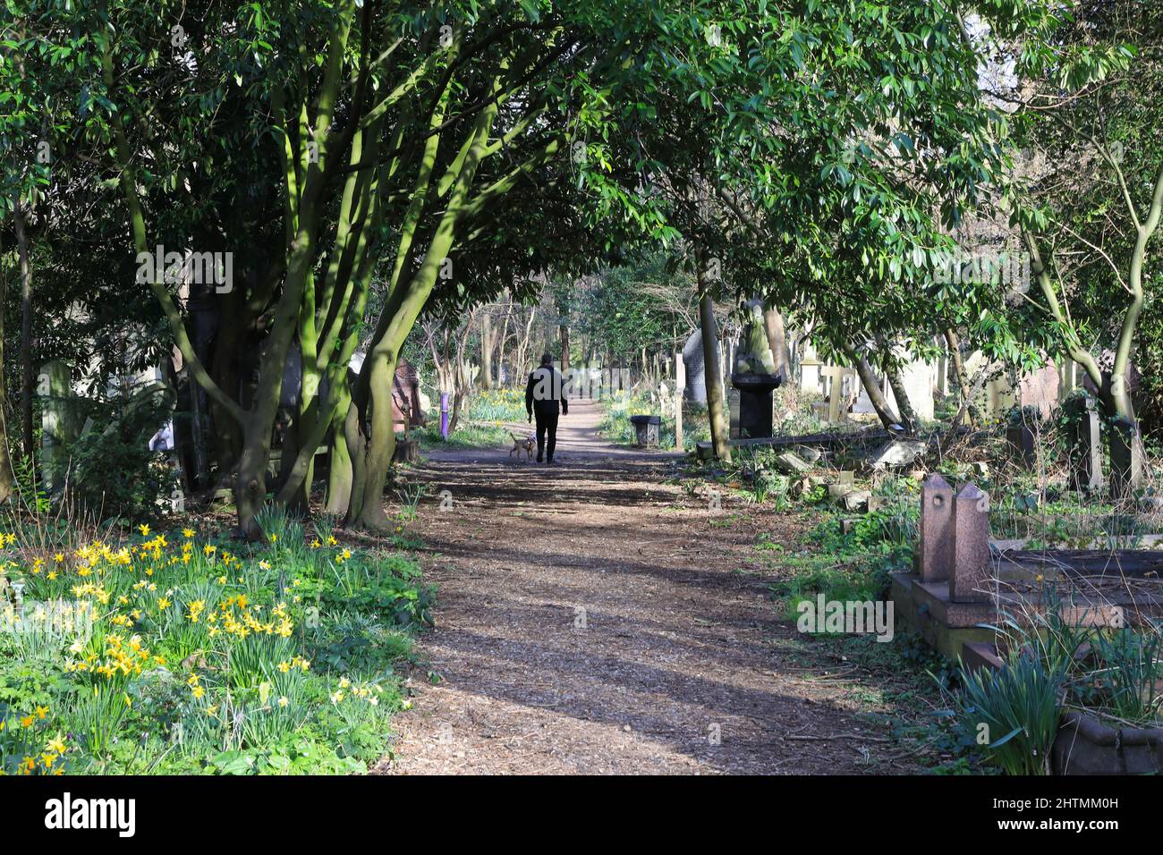 Walking through cemetery hi-res stock photography and images - Alamy