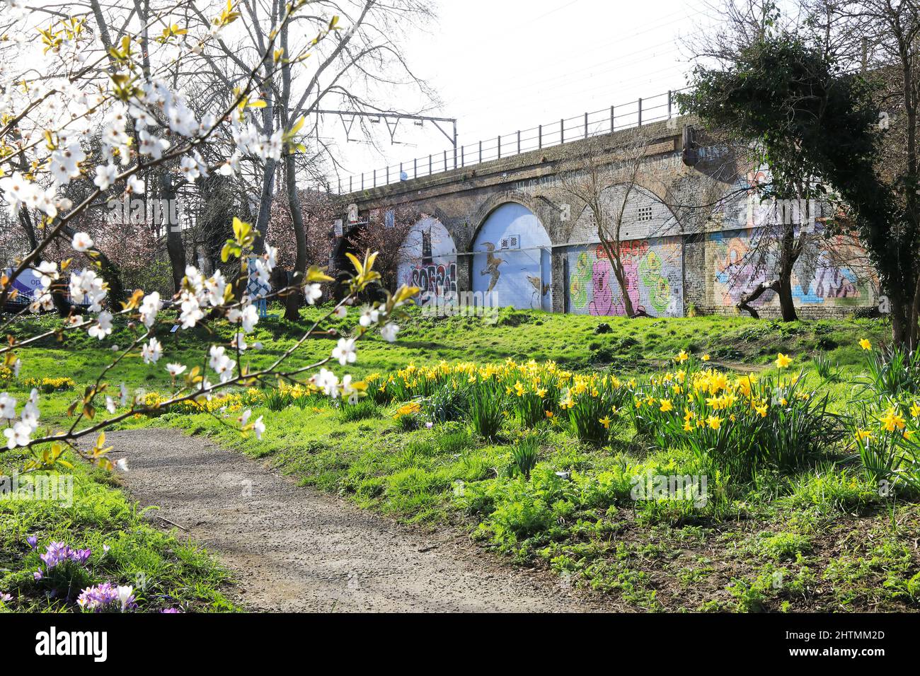 Ackroyd Drive Green Link, east London's only chalk meadow, with spring ...