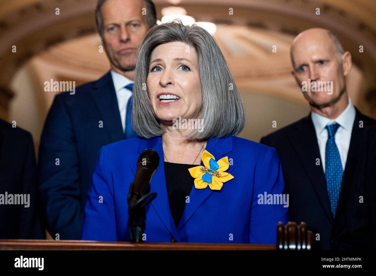 Caucus flag hi-res stock photography and images - Alamy