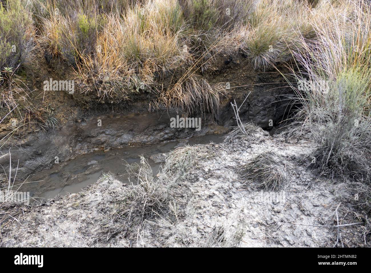 Water tream hi-res stock photography and images - Alamy