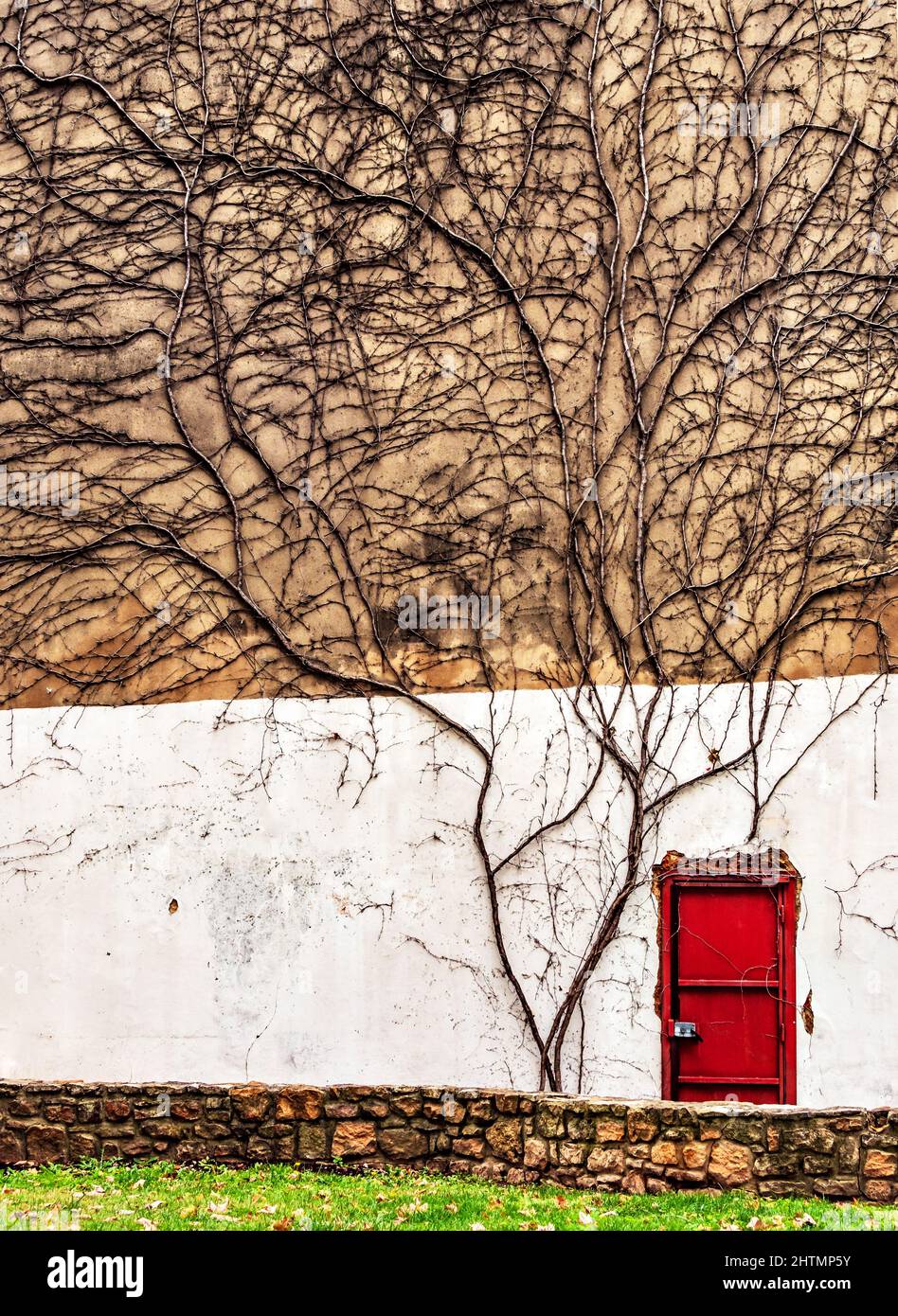 Minimalism. A bright red lonely door on a large old wall covered with ...