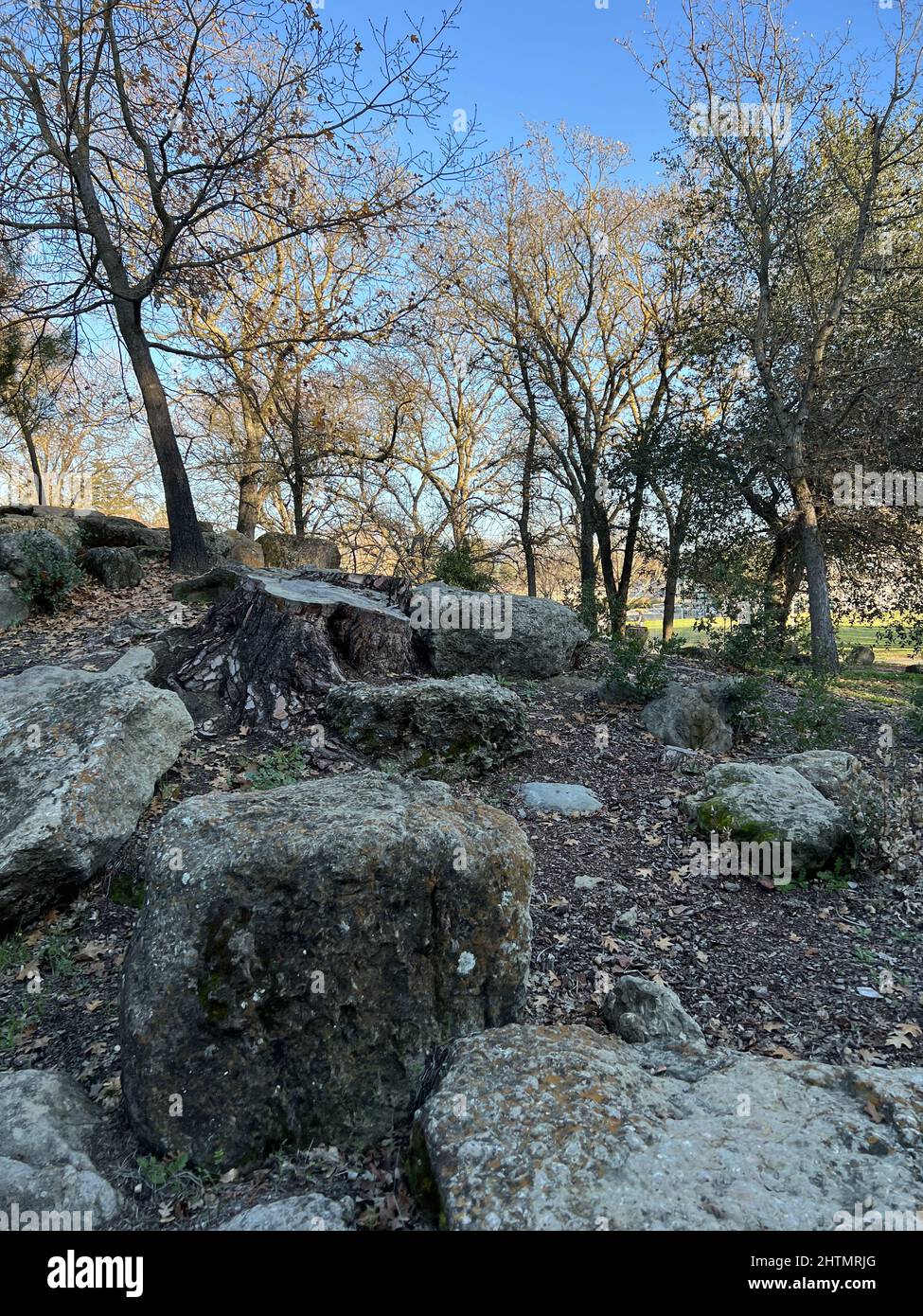 Hiking area with trees and rocks at Tice Valley Park in Walnut Creek ...